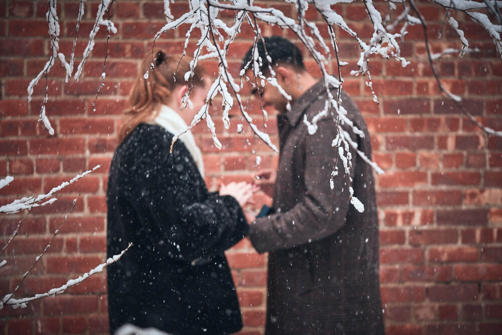 Adithya & Natalie – Surprise Proposal – The Max Family Garden – Dumbo ...